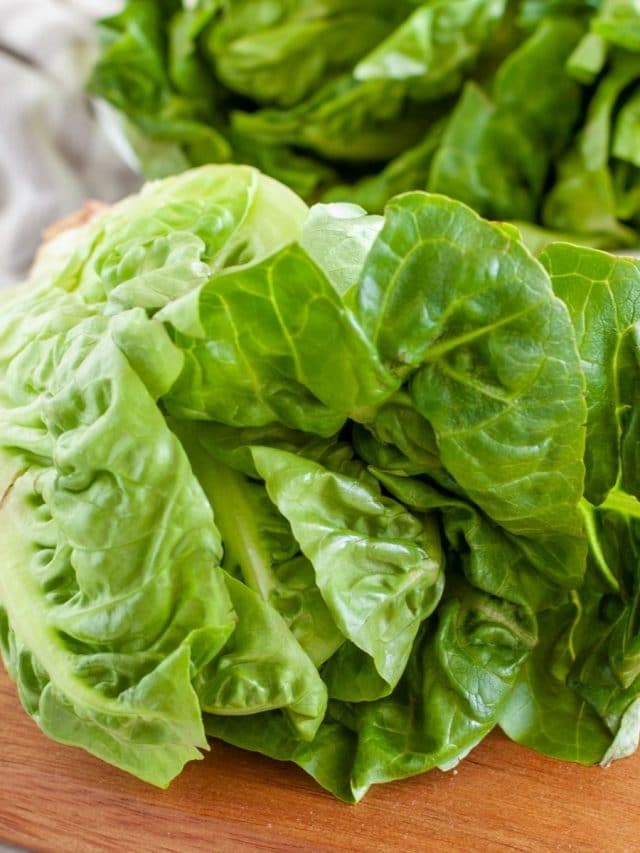 Food Lovin' Family - Easy, family friendly recipes.