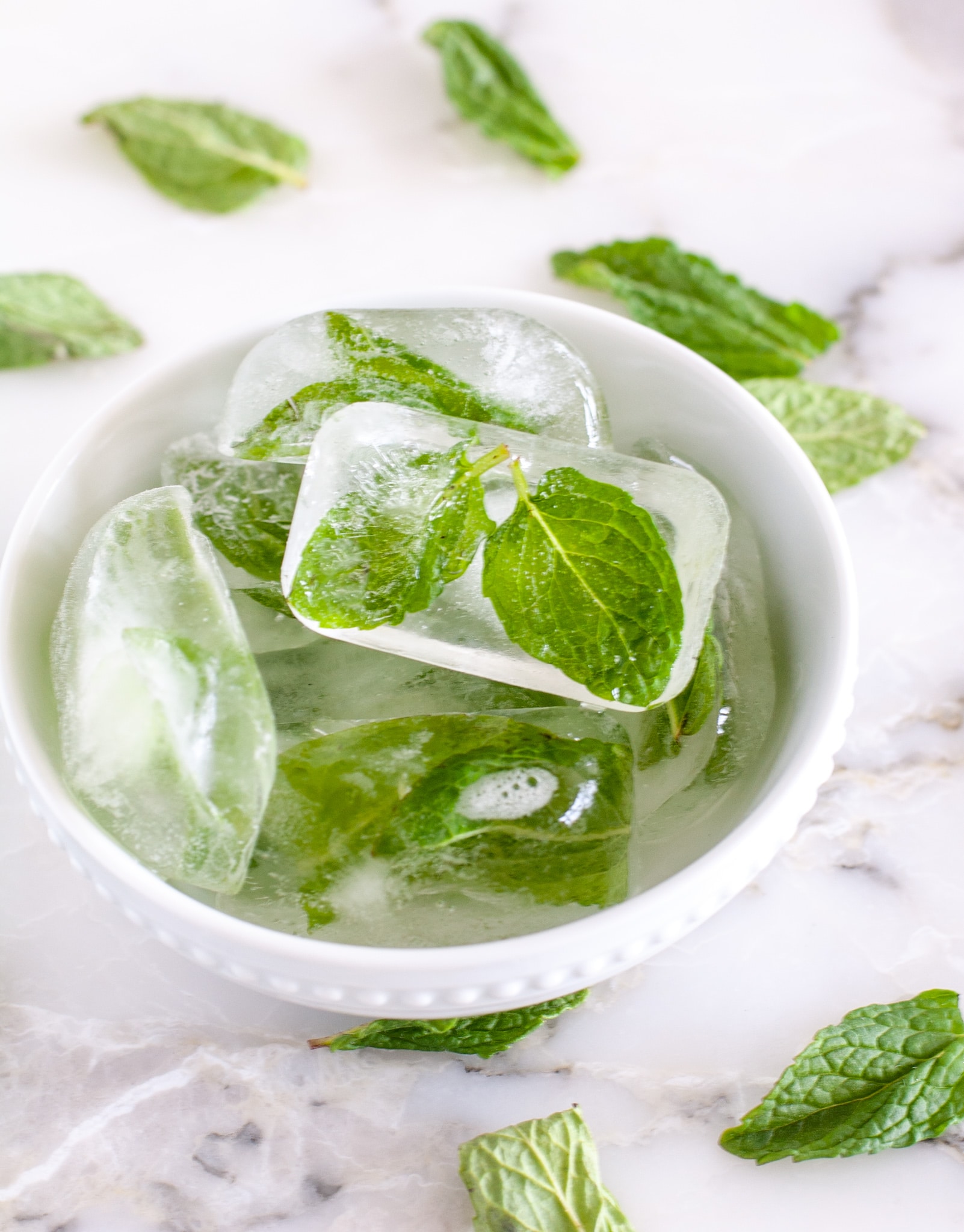 Can You Freeze Mint Leaves - Guide To Freezing Fresh Mint Leaves - Food ...