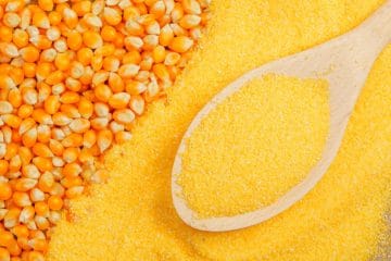 12 Best Cornmeal Substitutes - Food Lovin Family