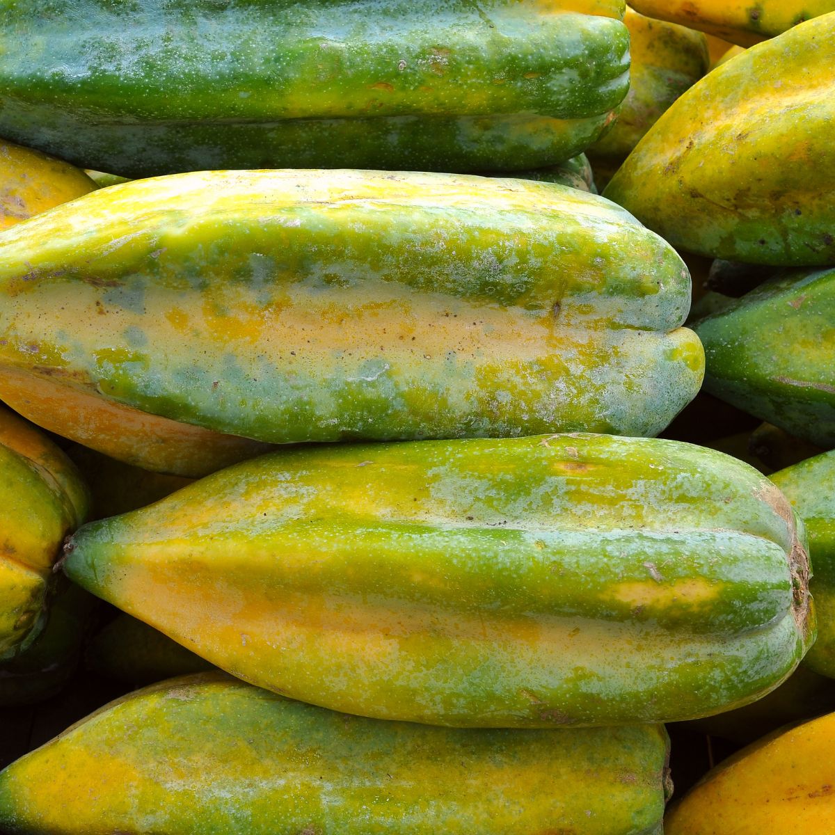 35 Fruits That Start With B - Food Lovin Family