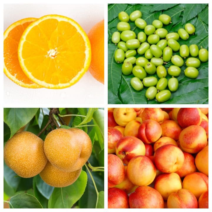 26 Fruits That Start With S - Food Lovin Family