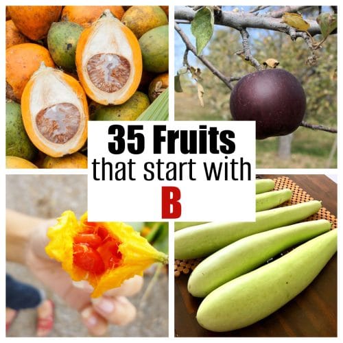 35 Fruits That Start With B - Food Lovin Family