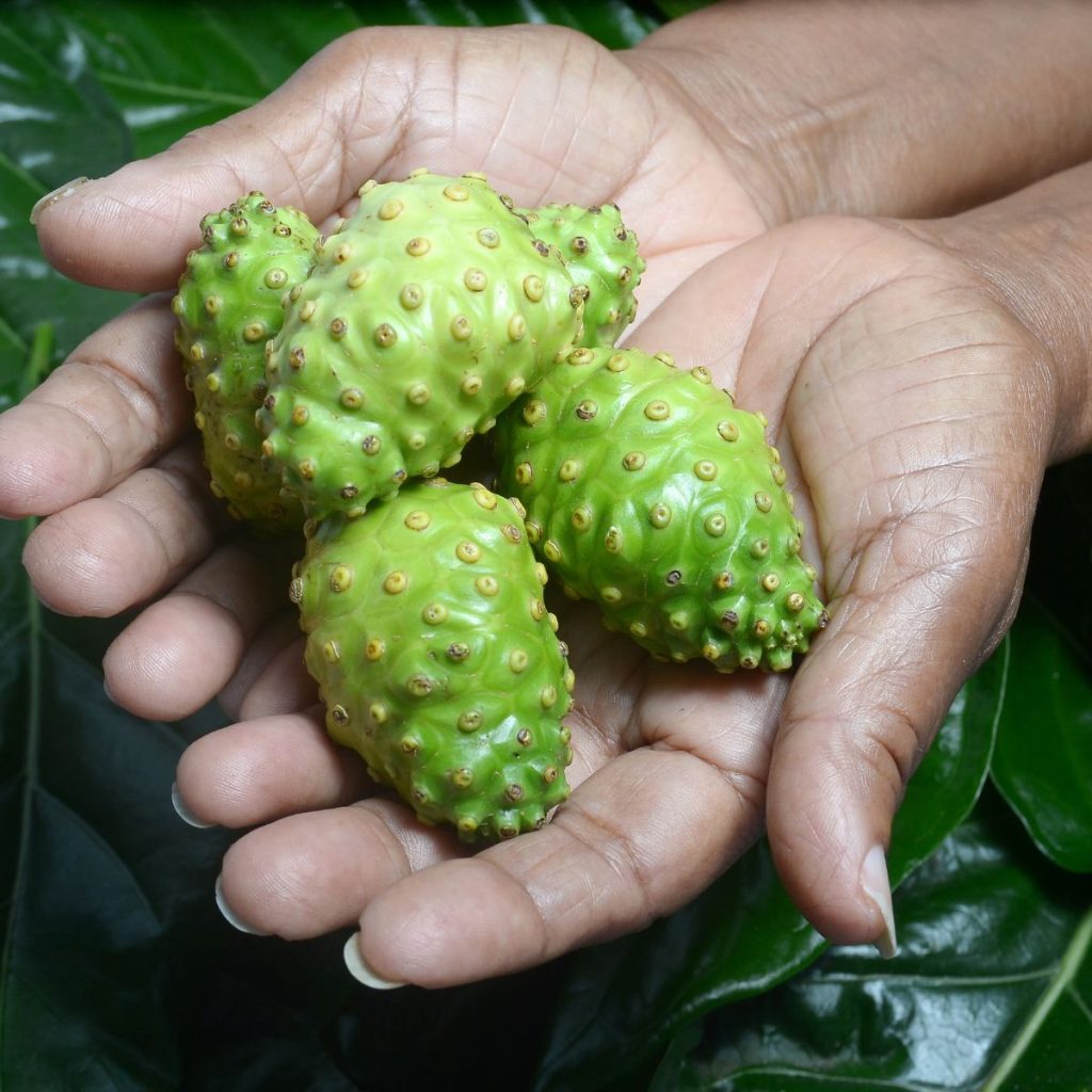 21 Fruit That Starts With N - Food Lovin Family