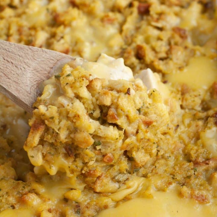 26 Foods That Start With X - Food Lovin Family