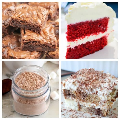38 Best Cocoa Powder Recipes - Food Lovin Family