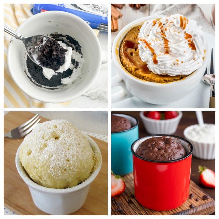 31 Best Mug Cake Recipes - Food Lovin Family