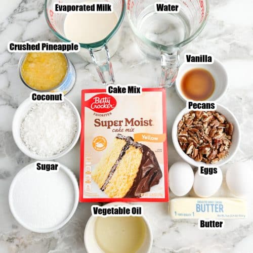 Do Nothing Cake (With Cake Mix) - Food Lovin Family