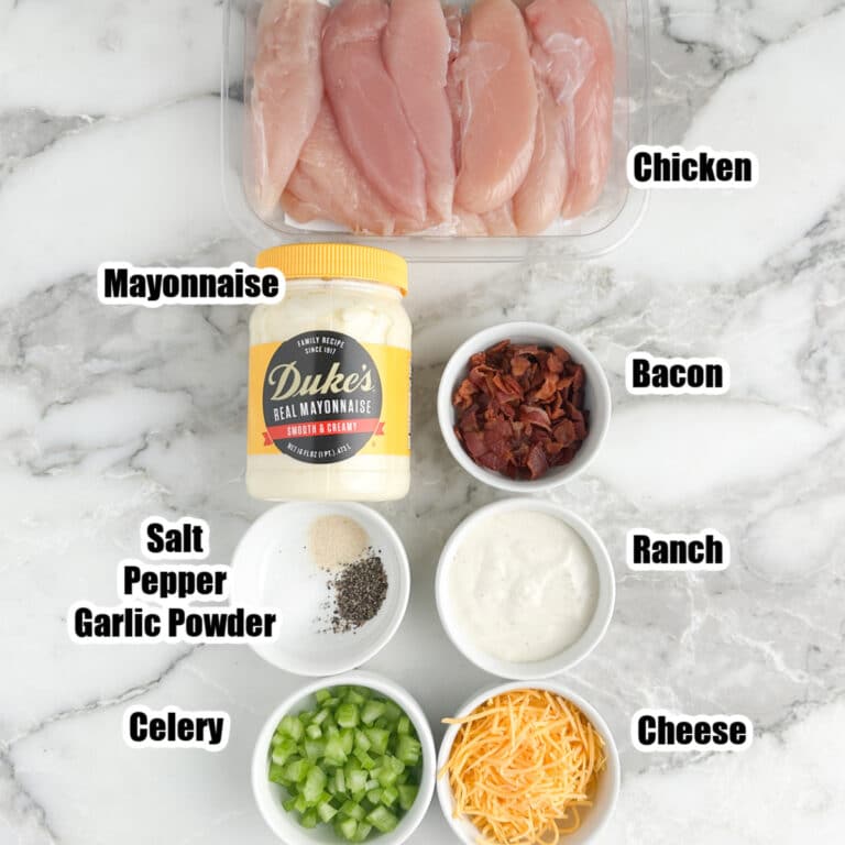 Copycat Chicken Salad Chick Sassy Scotty - Food Lovin Family