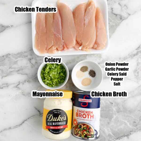 Copycat Classic Carol Chicken Salad Chick Recipe - Food Lovin Family