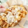 Copycat Wingstop Louisiana Voodoo Fries - Food Lovin Family