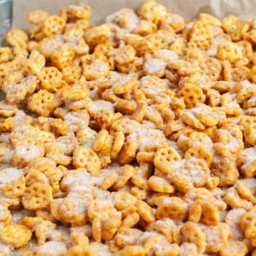 Churro Snack Mix - Food Lovin Family