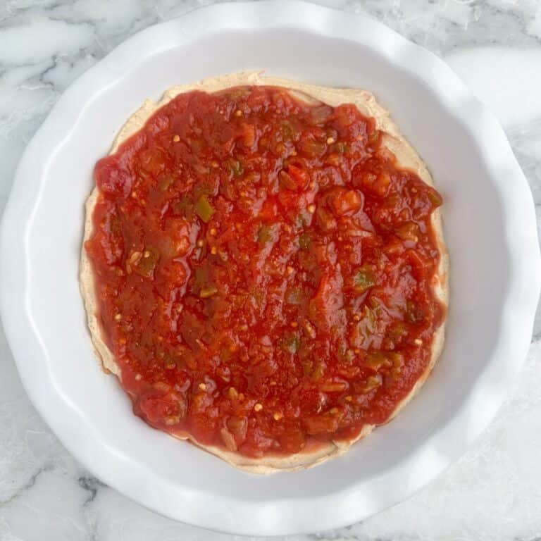 Layered Salsa Dip - Food Lovin Family