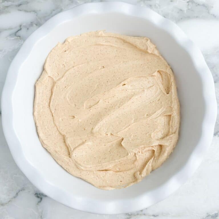Layered Salsa Dip - Food Lovin Family