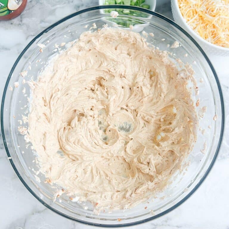 Layered Salsa Dip - Food Lovin Family