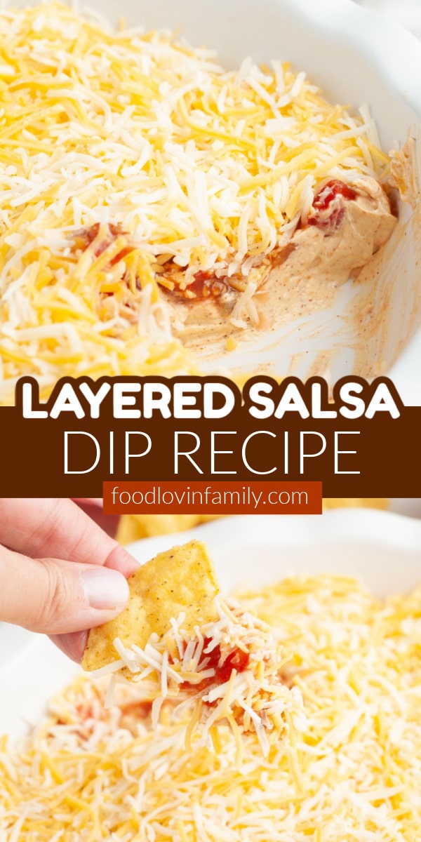 Layered Salsa Dip - Food Lovin Family