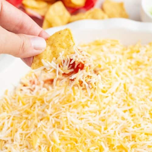 Layered Salsa Dip - Food Lovin Family