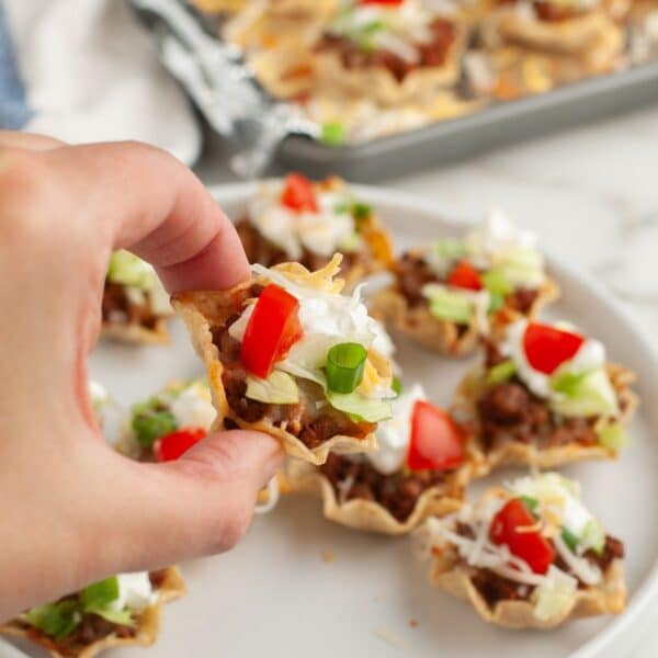 Taco Bites - Food Lovin Family