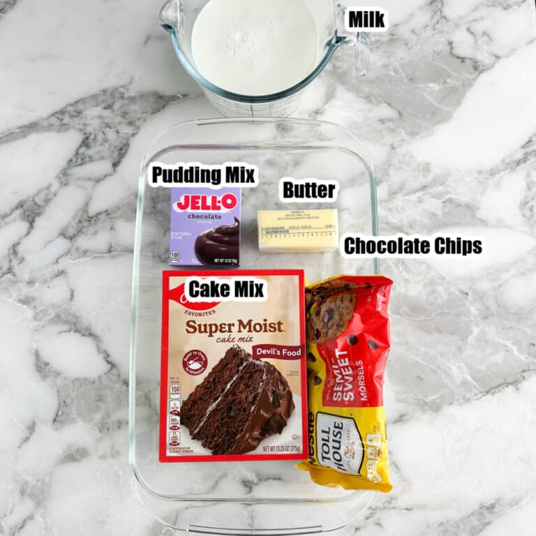 Chocolate Dump Cake - Food Lovin Family