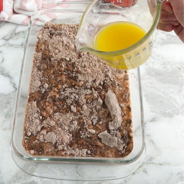 Chocolate Dump Cake - Food Lovin Family