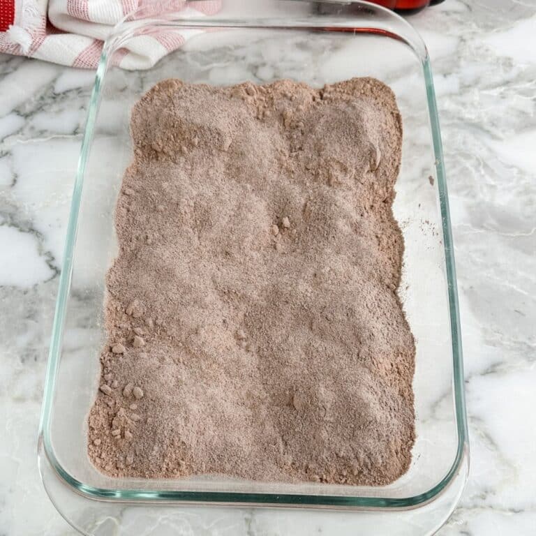 Chocolate Dump Cake - Food Lovin Family